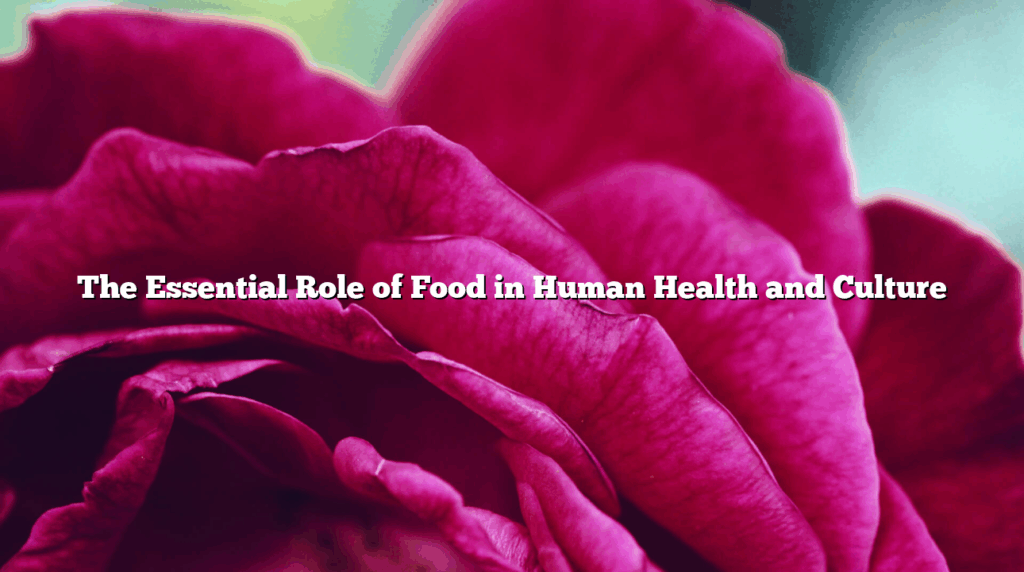 The Essential Role of Food in Human Health and Culture – News For You Today
